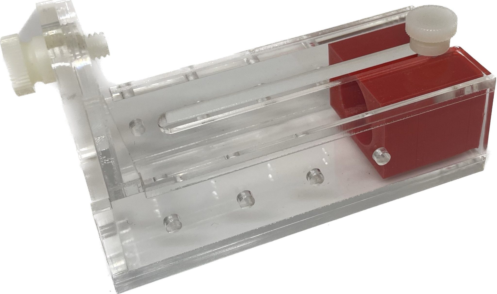 Mvein Restrainer for Mouse Tail Vein Injections - MediLumine