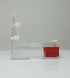 Mvein Restrainer for Mouse Tail Vein Injections - MediLumine