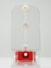 Mvein Restrainer for Mouse Tail Vein Injections - MediLumine