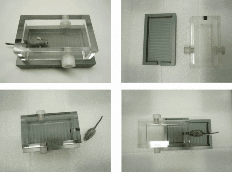 Mouse Induction Chamber for Tail Vein Injections - MediLumine