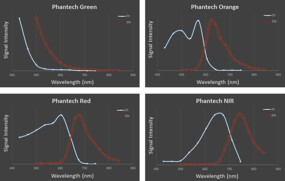 Derenzo Phantom for Fluorescence or Luminescence Imaging - MediLumine