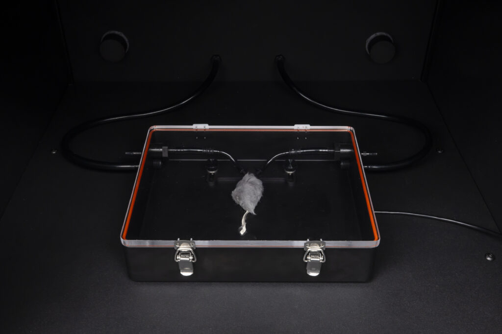 Animal Isolation Chamber for Imaging - MediLumine