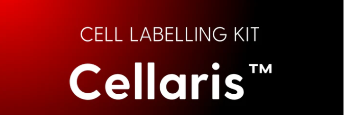 Cell Labelling - MediLumine